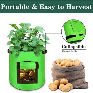 vigor | Other | Perfect Gift Double Thickened Felt Potato Grow ...